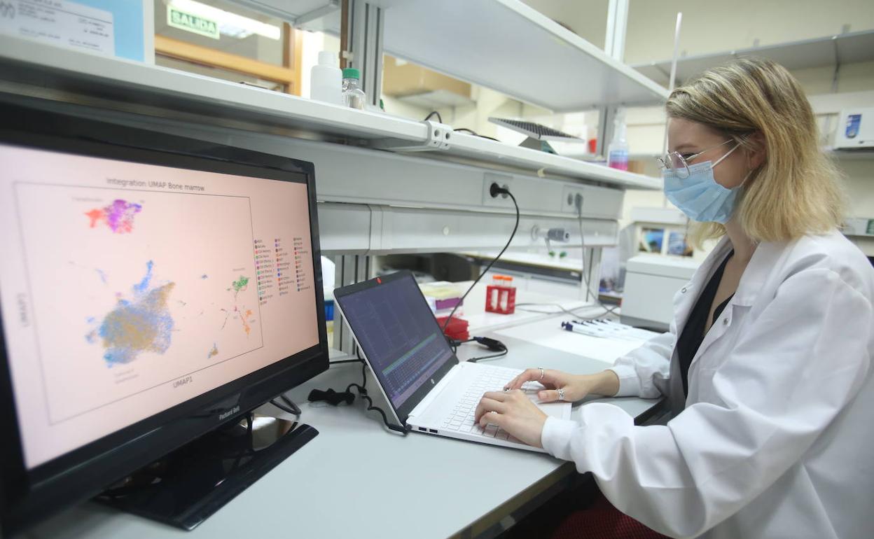 Cada vez más casos de sarna en España: estos son los síntomas y los motivos por los que se ...